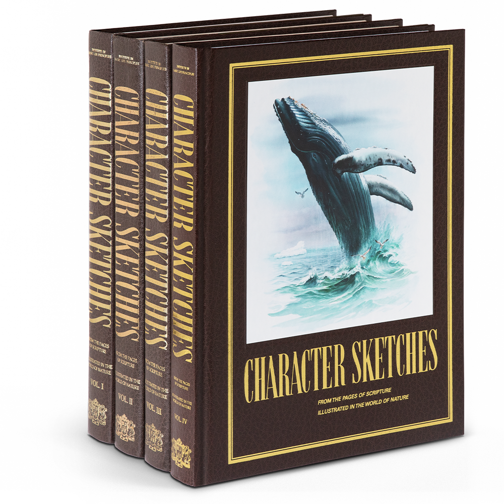 IBLP Online Store: Character Sketches: Four Volume Set - Books Only