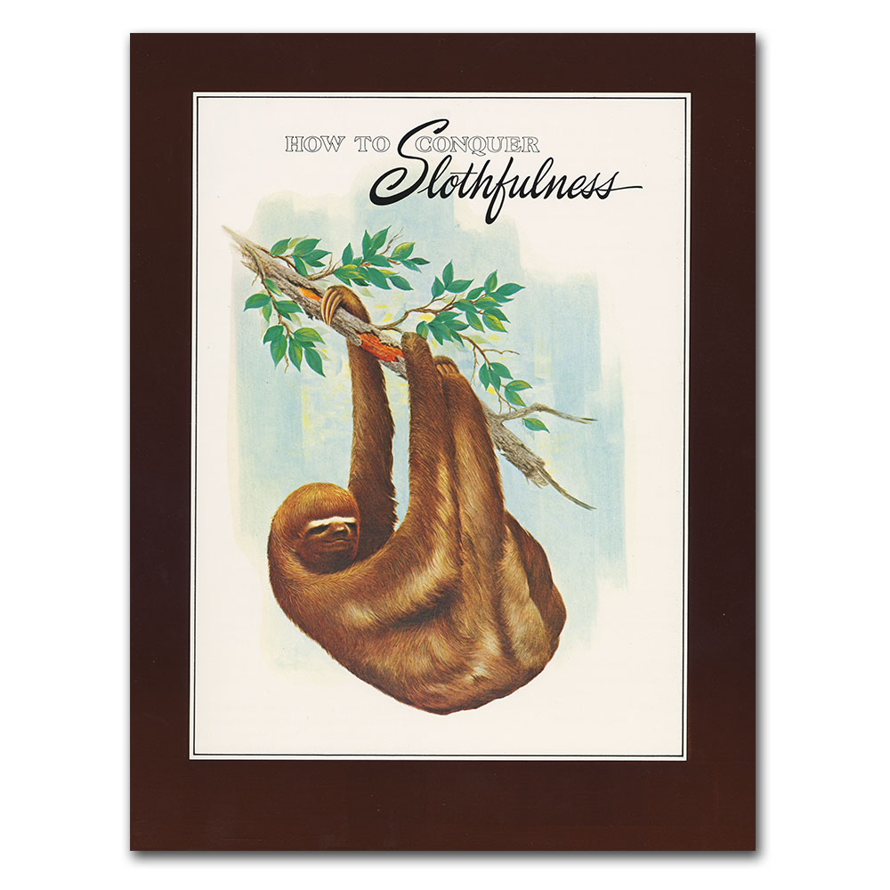 IBLP Online Store: How to Conquer Slothfulness