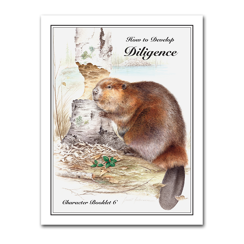 IBLP Online Store: Character Booklet: Diligence
